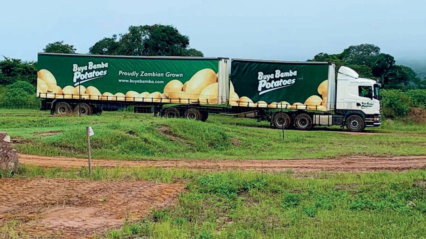 Assessing transformational change in the Zambian potato value chain ...