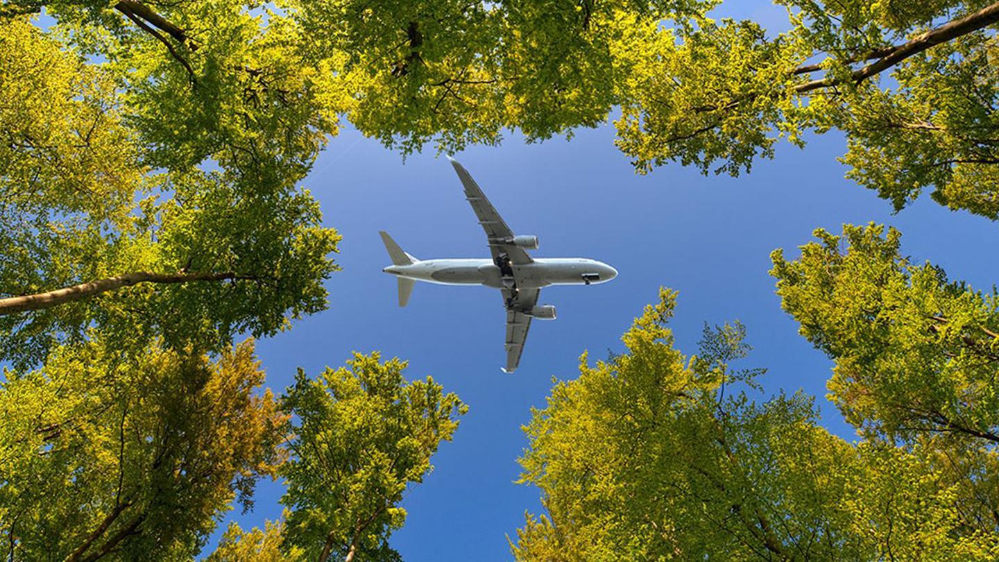 Environmental stewardship: Triple Line working towards carbon ...