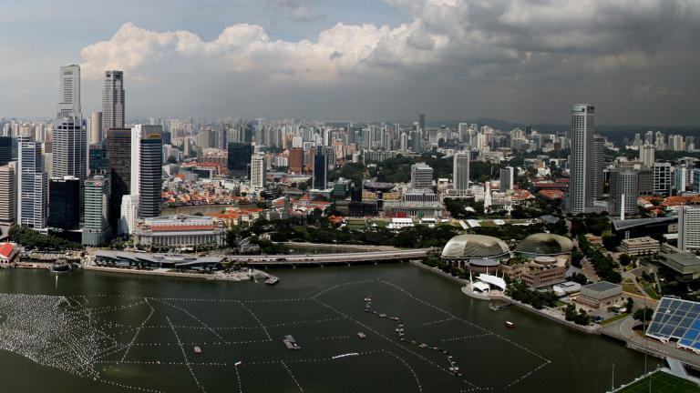 International Development | Our Expertise | Triple Line Consulting