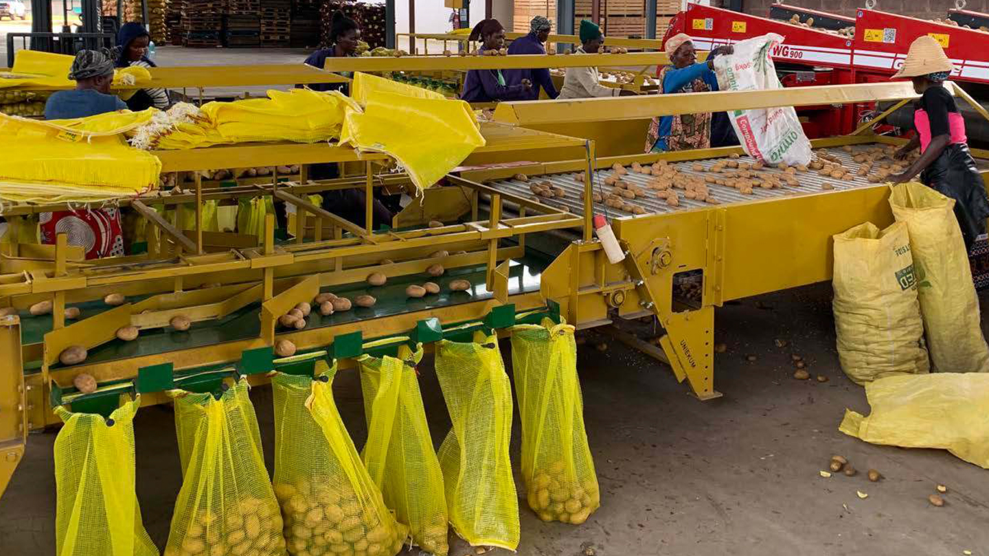 Assessing transformational change in the Zambian potato value chain ...