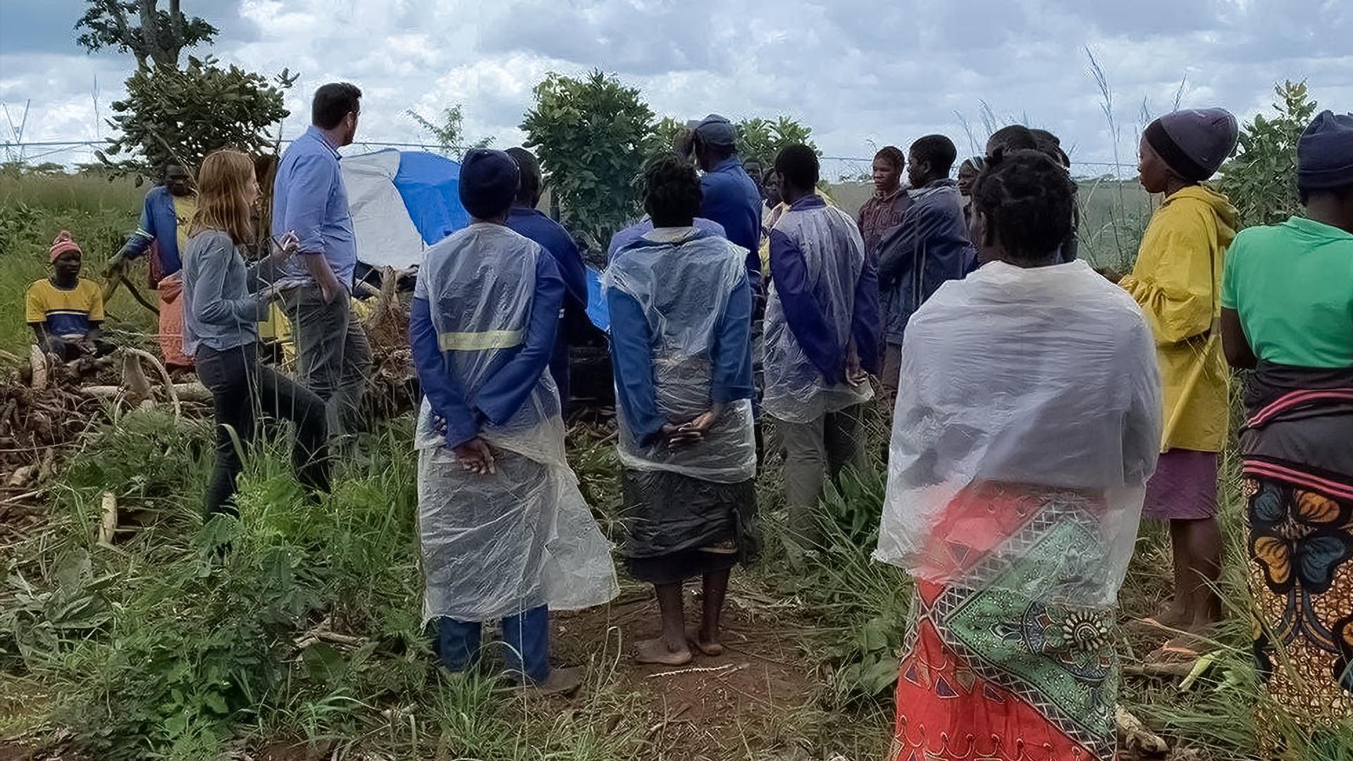 International Development | Triple Line Consulting
