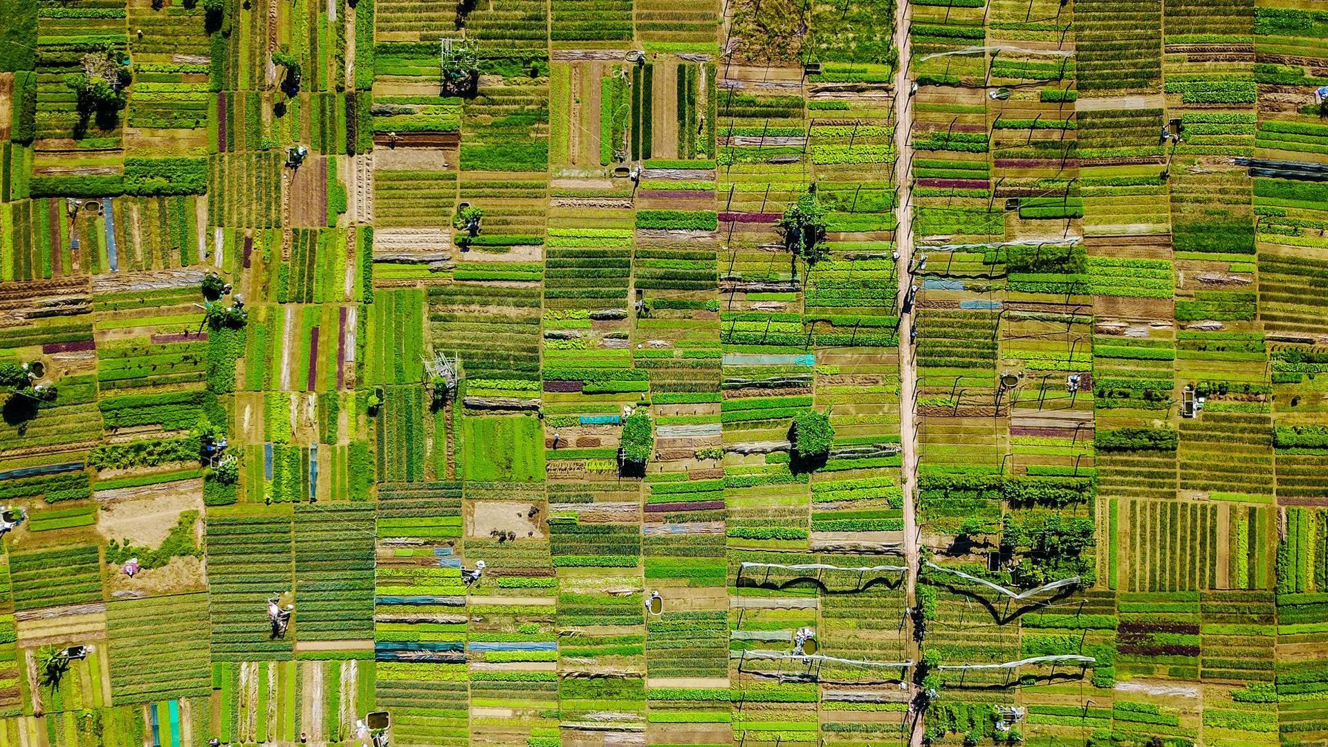 International Development | Triple Line Consulting