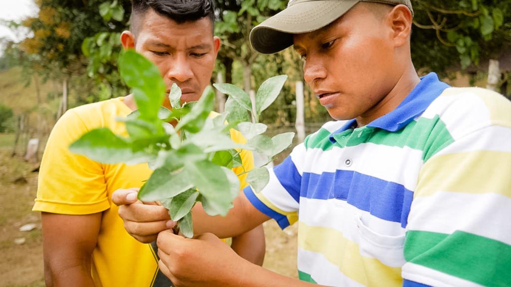 Environmental stewardship: Triple Line working towards carbon ...